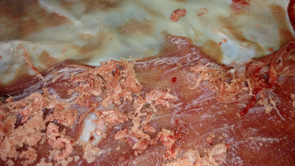 The Flesh-All Mini-Flesher - FleshingMachines.com