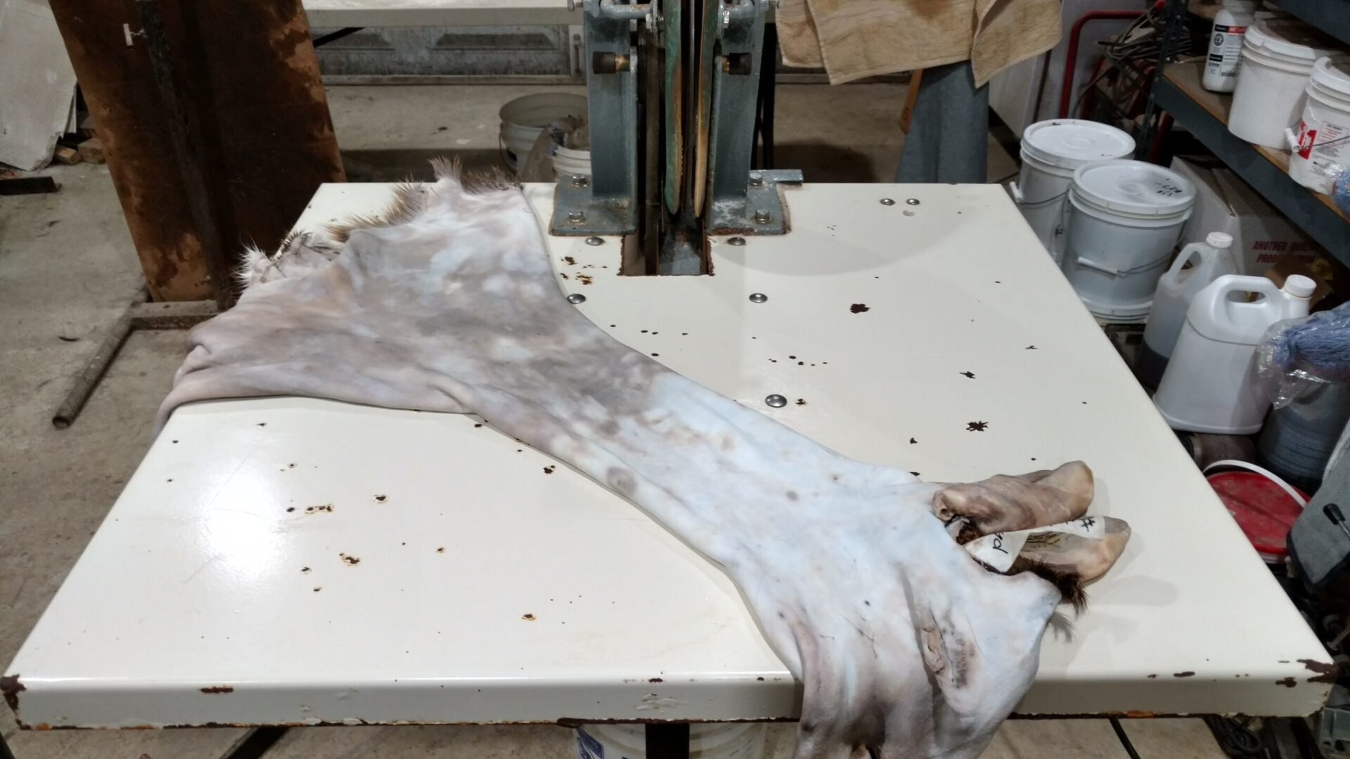 4A - FleshingMachines.com